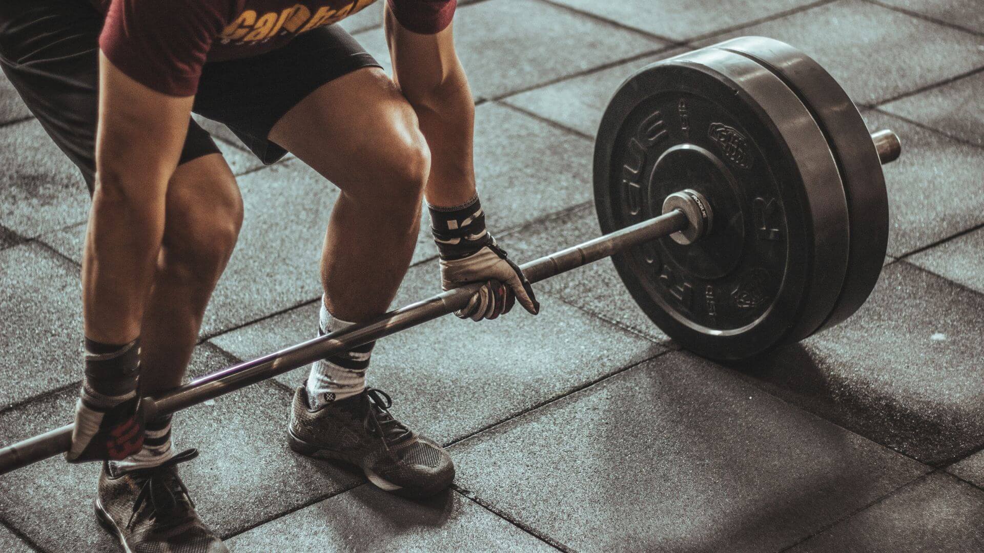 Top 10 Questions to Ask Your Potential Bodybuilding Coach - Thinkl